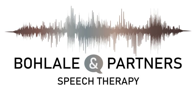 Meet the Team – Bohlale and Partners